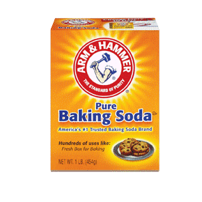Arm & Hammer Pure Baking Soda 454g A Taste of Home | Webshoplocatie.nl